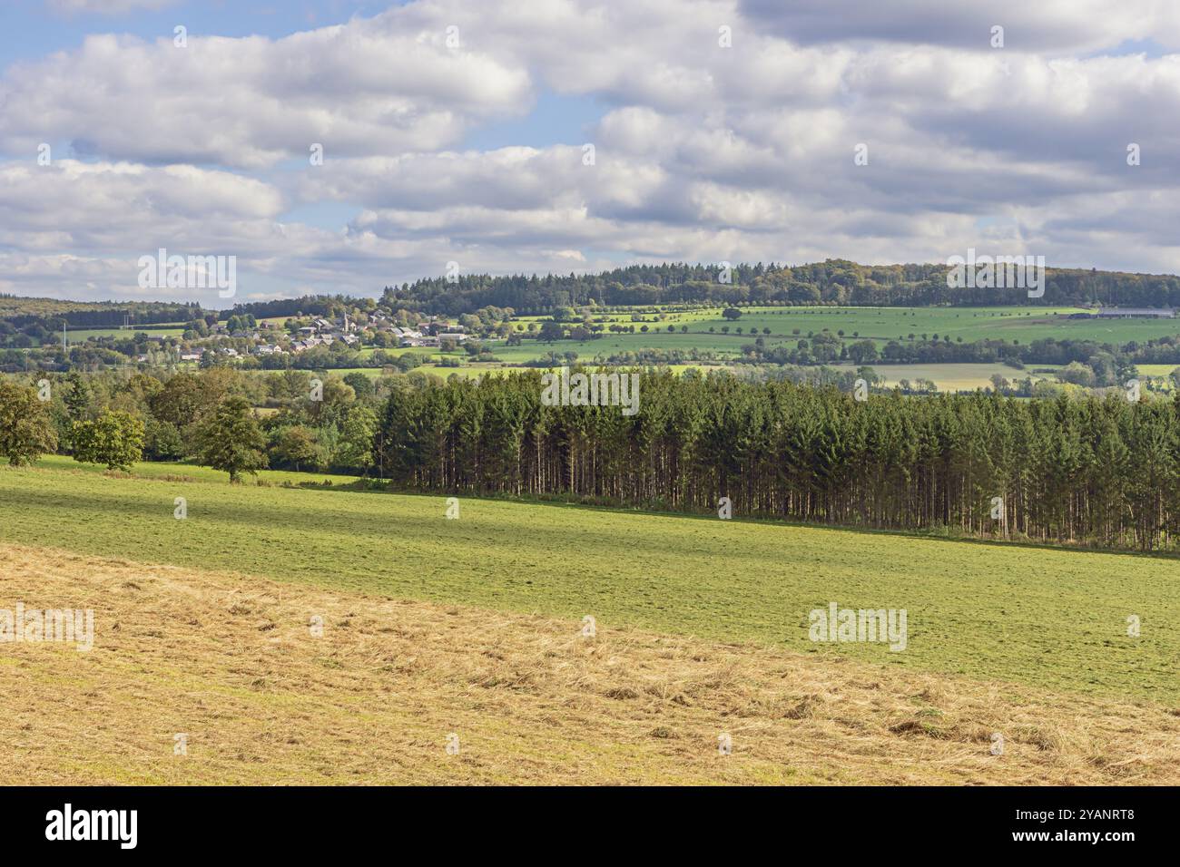 Agricultural bucolic tree agriculture hi-res stock photography and ...