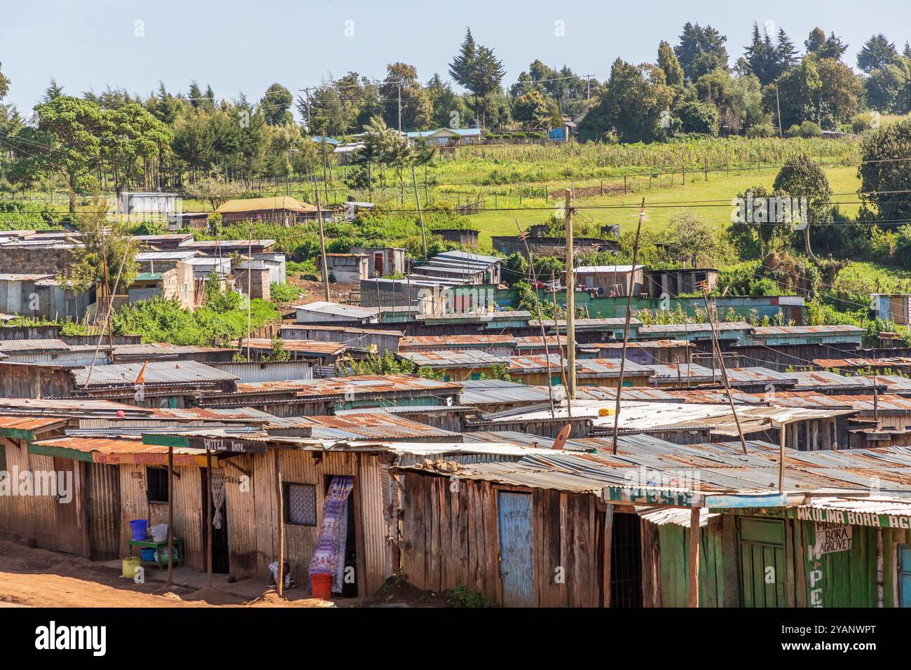 Shanty town with houses made from corrugated iron sheeting ...