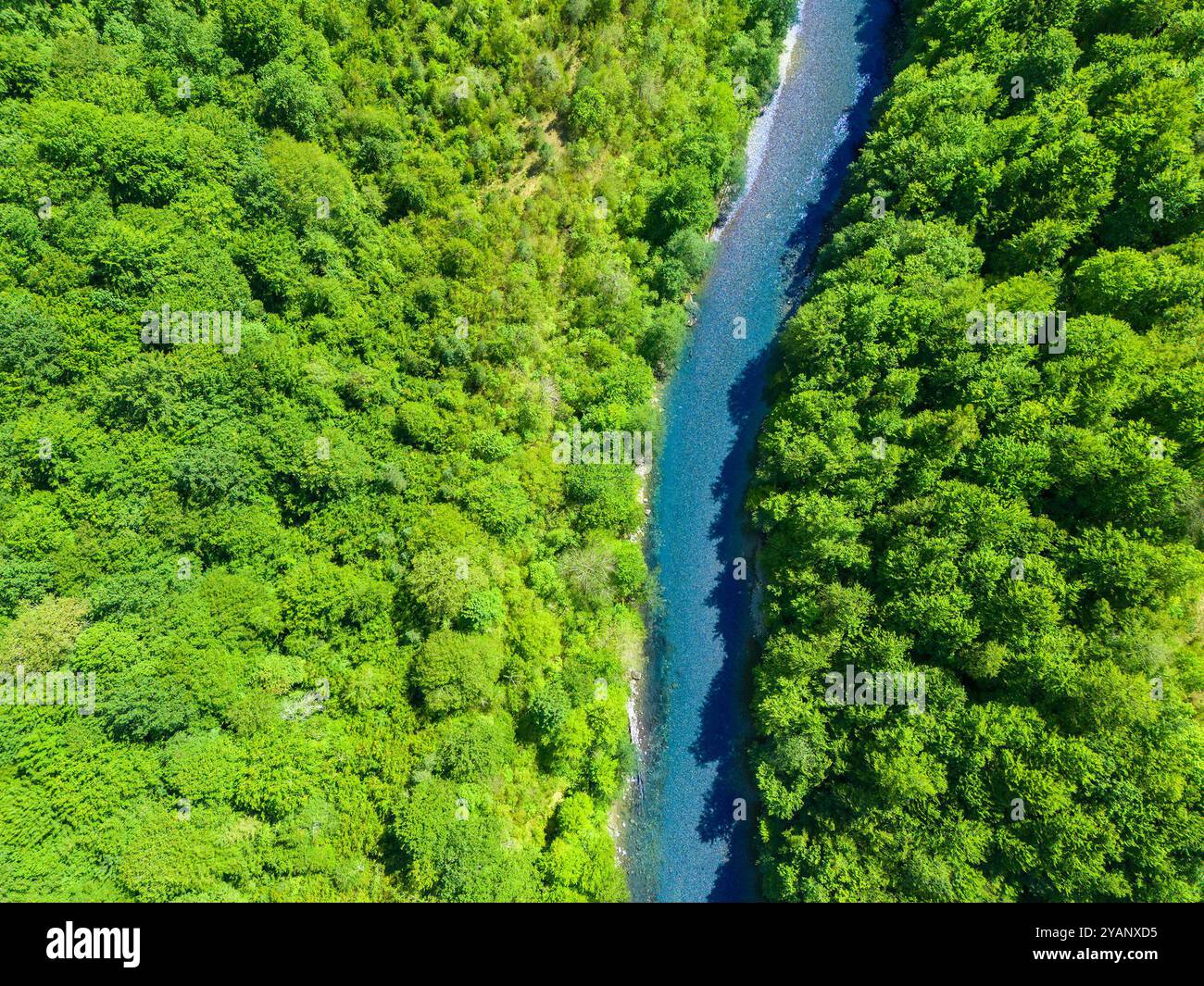 Clear blue river flows through dense green forest. Aerial view Stock Photo - Alamy