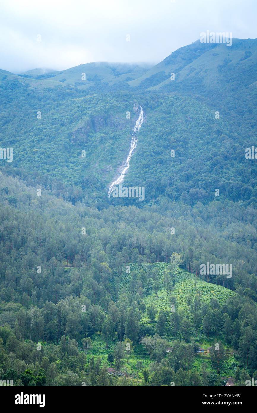 Yellamalai from Gudalur, Tamil Nadu - A Plantation Village in Tamil ...