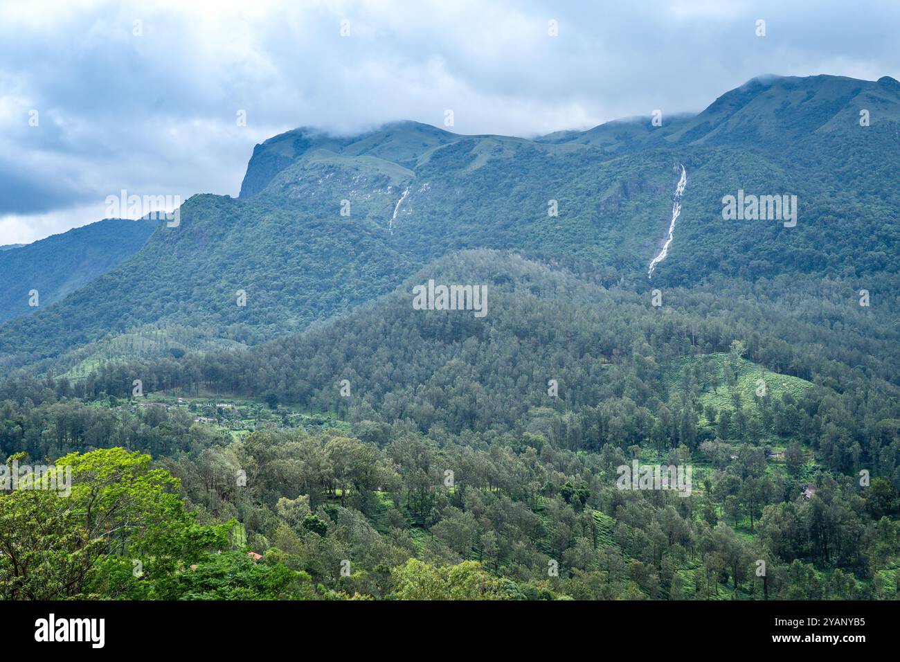 Yellamalai from Gudalur, Tamil Nadu - A Plantation Village in Tamil ...