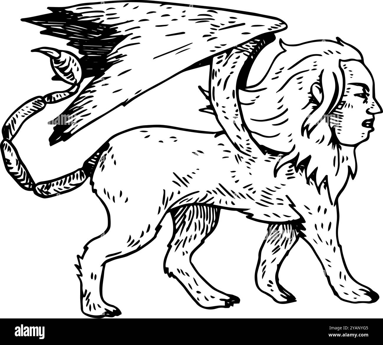 Manticore - hand drawn illustration of mythological beast in black and ...