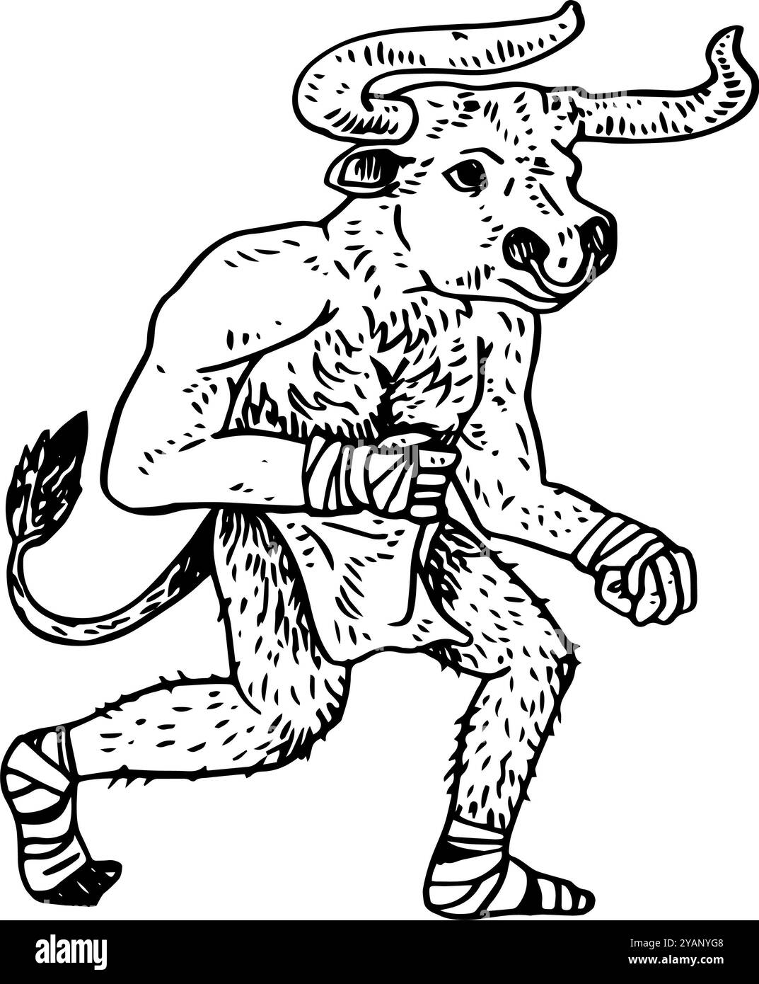 Minotaur - hand drawn illustration of mythological beast in black and ...
