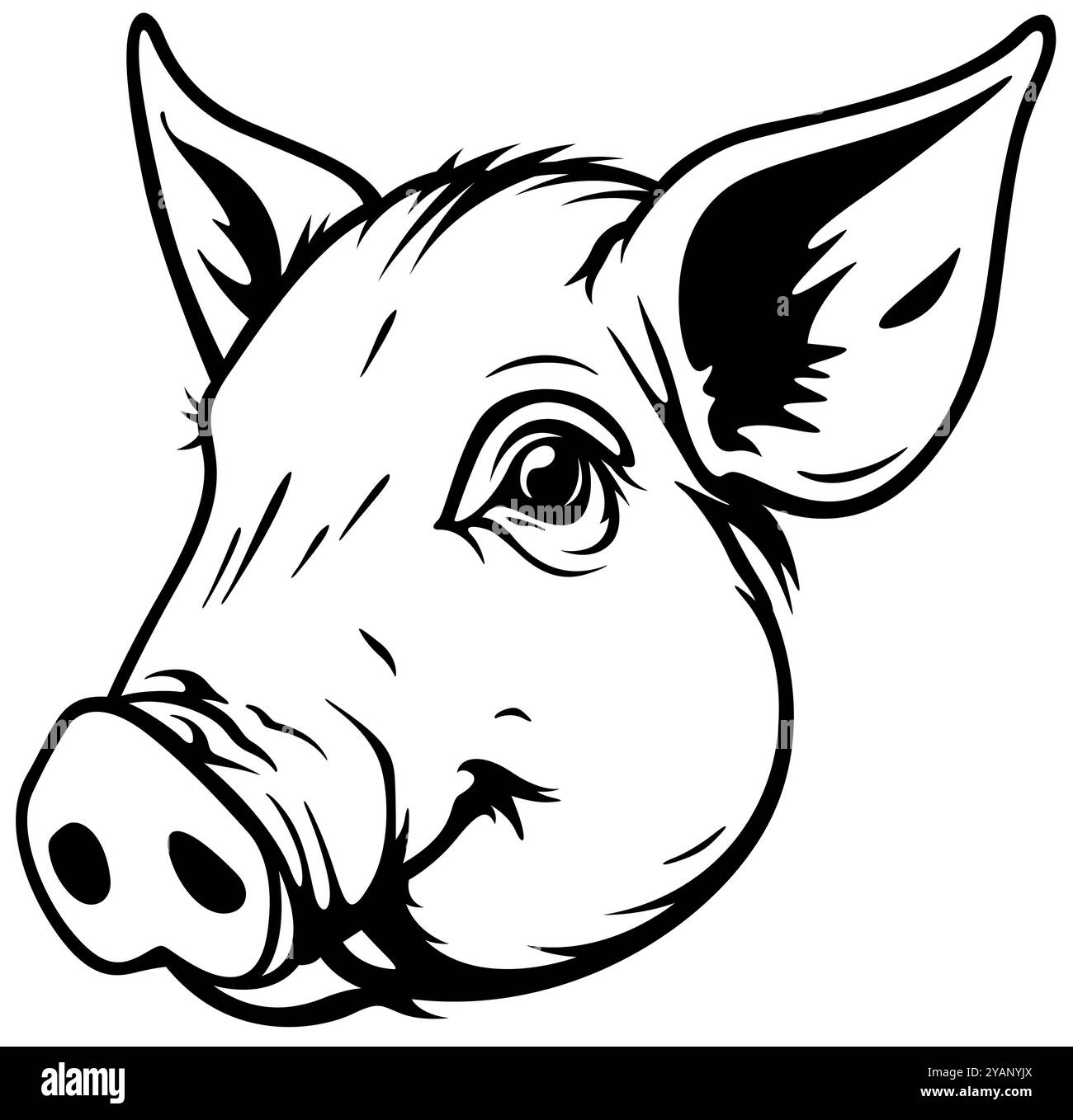 Black Drawing of Piggy Head Stock Vector Image & Art - Alamy