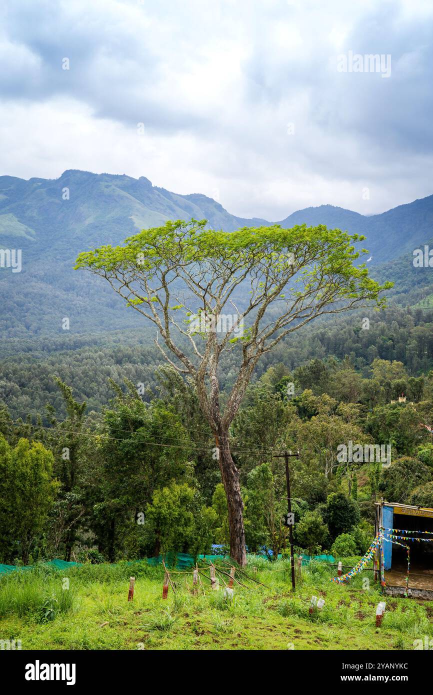Yellamalai from Gudalur, Tamil Nadu - A Plantation Village in Tamil ...