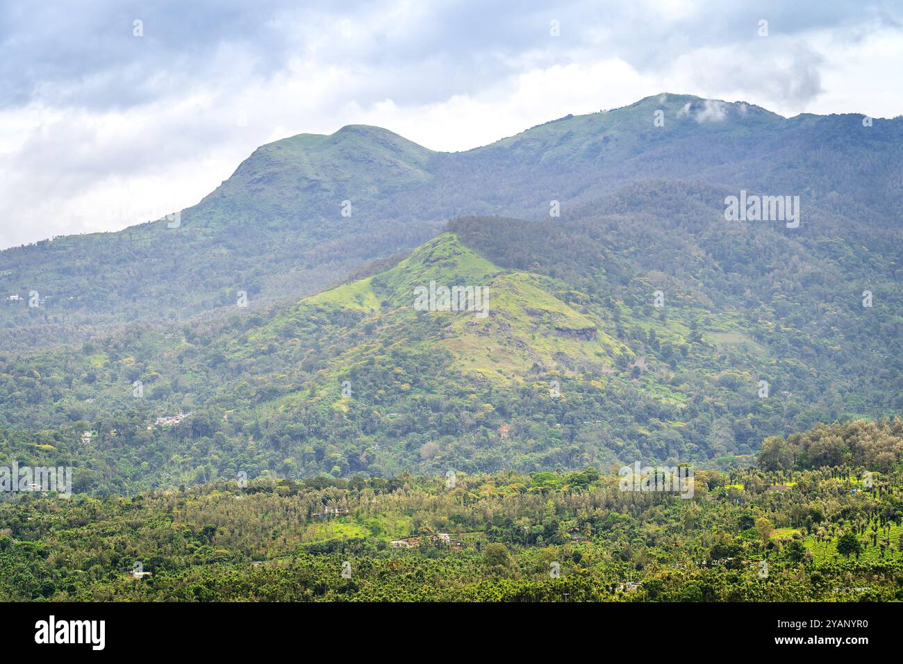 Yellamalai from Gudalur, Tamil Nadu - A Plantation Village in Tamil ...