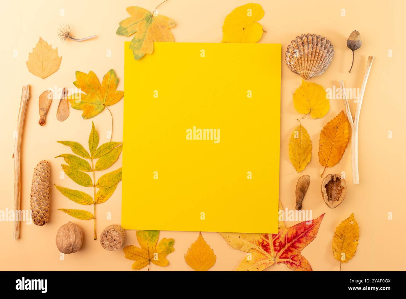 Surrounding botanical elements highlights hi-res stock photography and ...