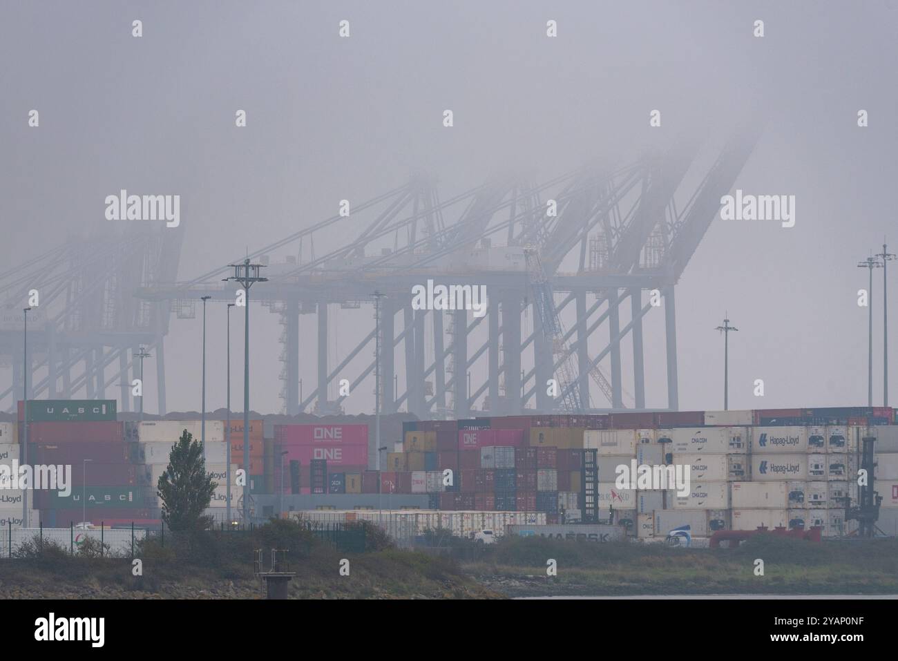 Stanford-Le-Hope, Essex, UK. 15th Oct, 2024. DP World has revealed a £1 ...