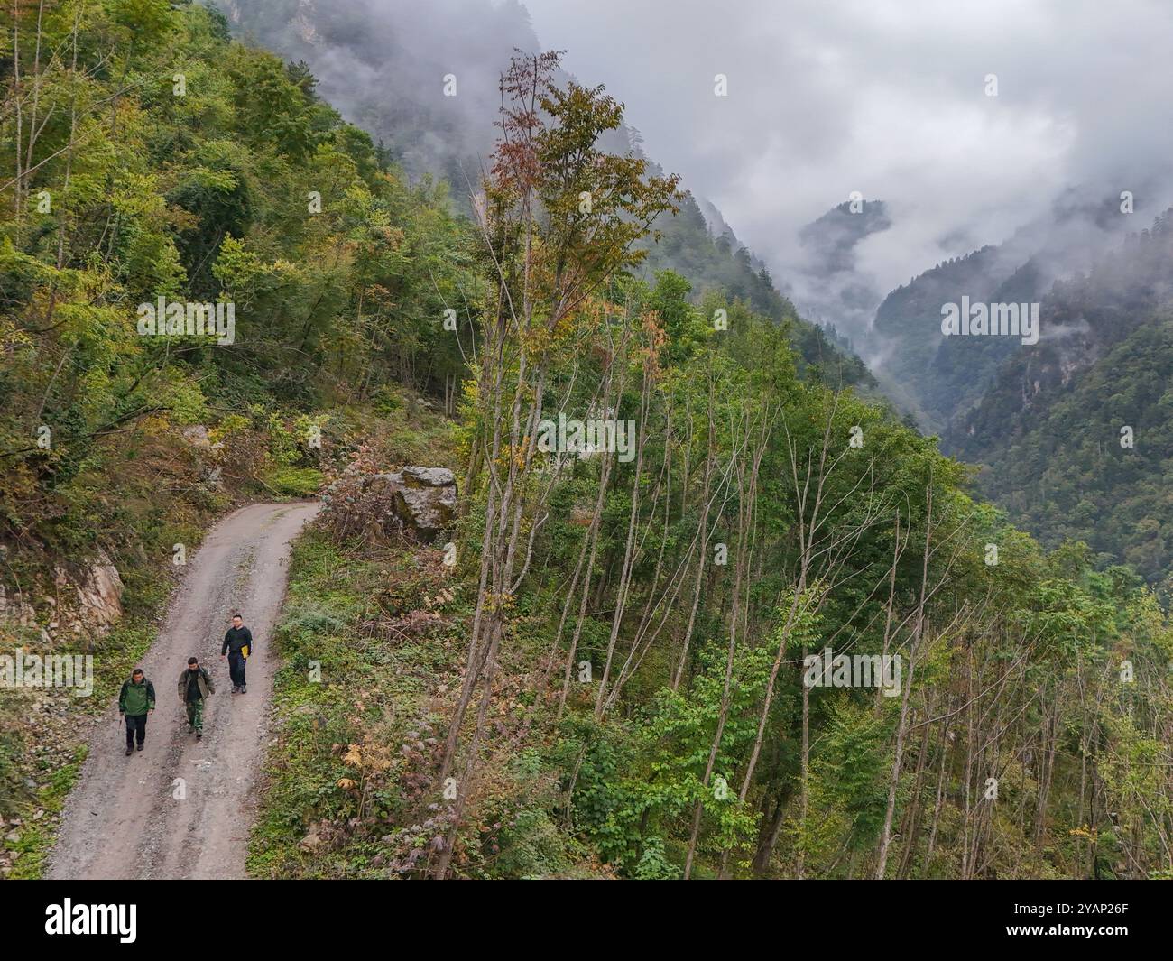 (241015) -- JIUZHAIGOU, Oct. 15, 2024 (Xinhua) -- Tang Yulin, Tang ...