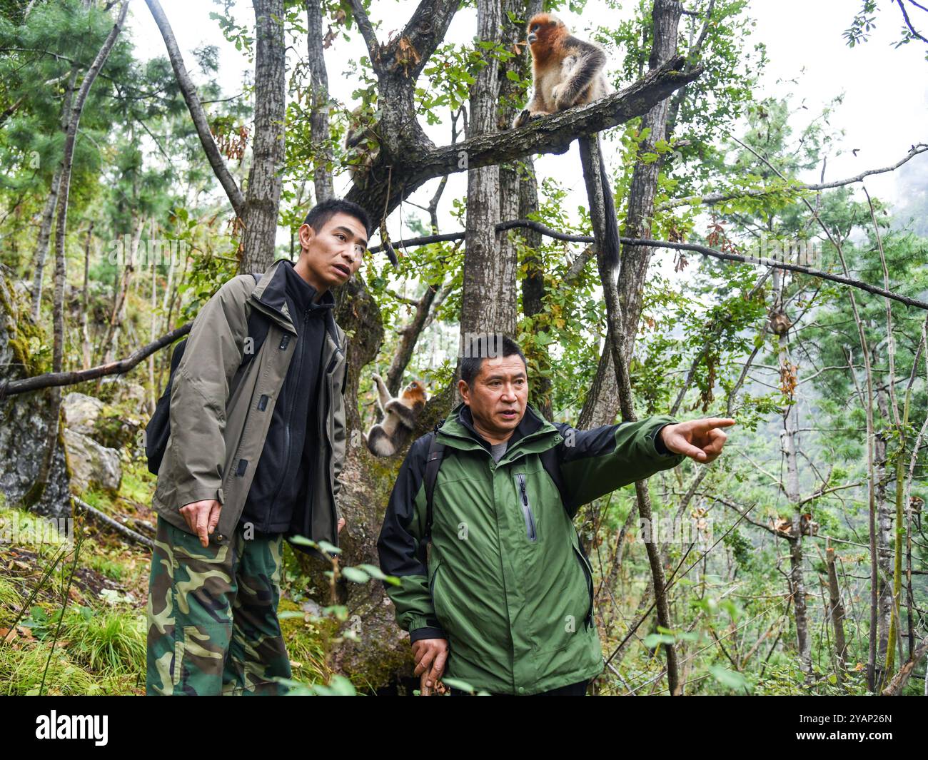 (241015) -- JIUZHAIGOU, Oct. 15, 2024 (Xinhua) -- Tang Yulin (R ...