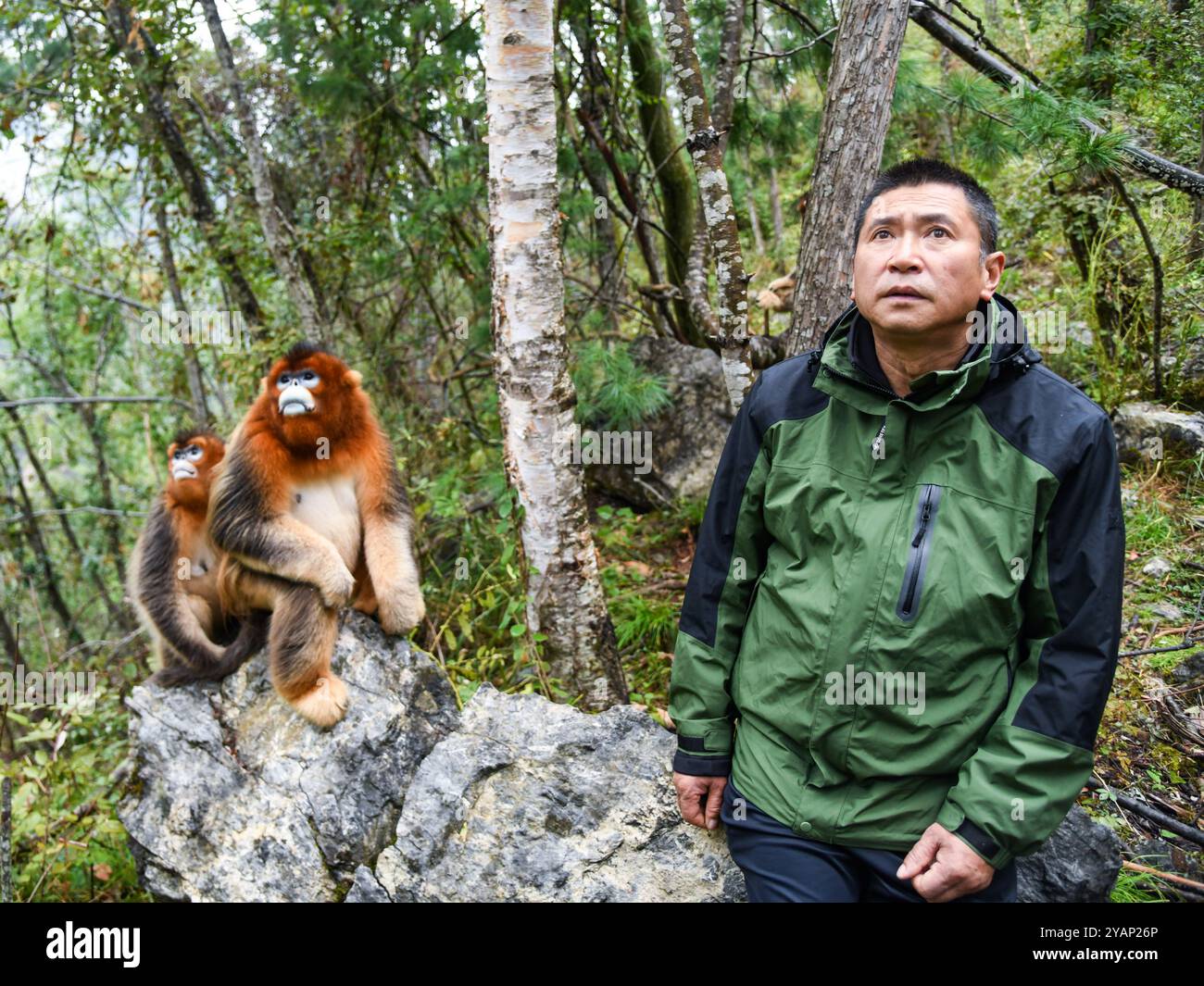 (241015) -- JIUZHAIGOU, Oct. 15, 2024 (Xinhua) -- Tang Yulin observes ...