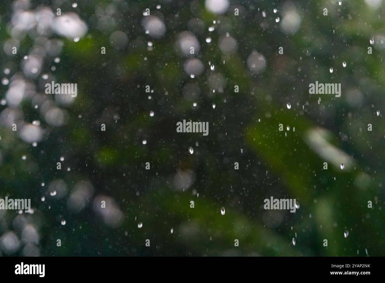 Heavy rain slow motion close hi-res stock photography and images - Alamy