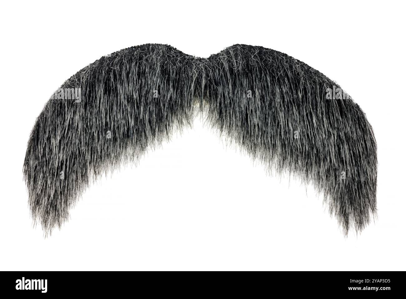 Grey moustache hi-res stock photography and images - Alamy