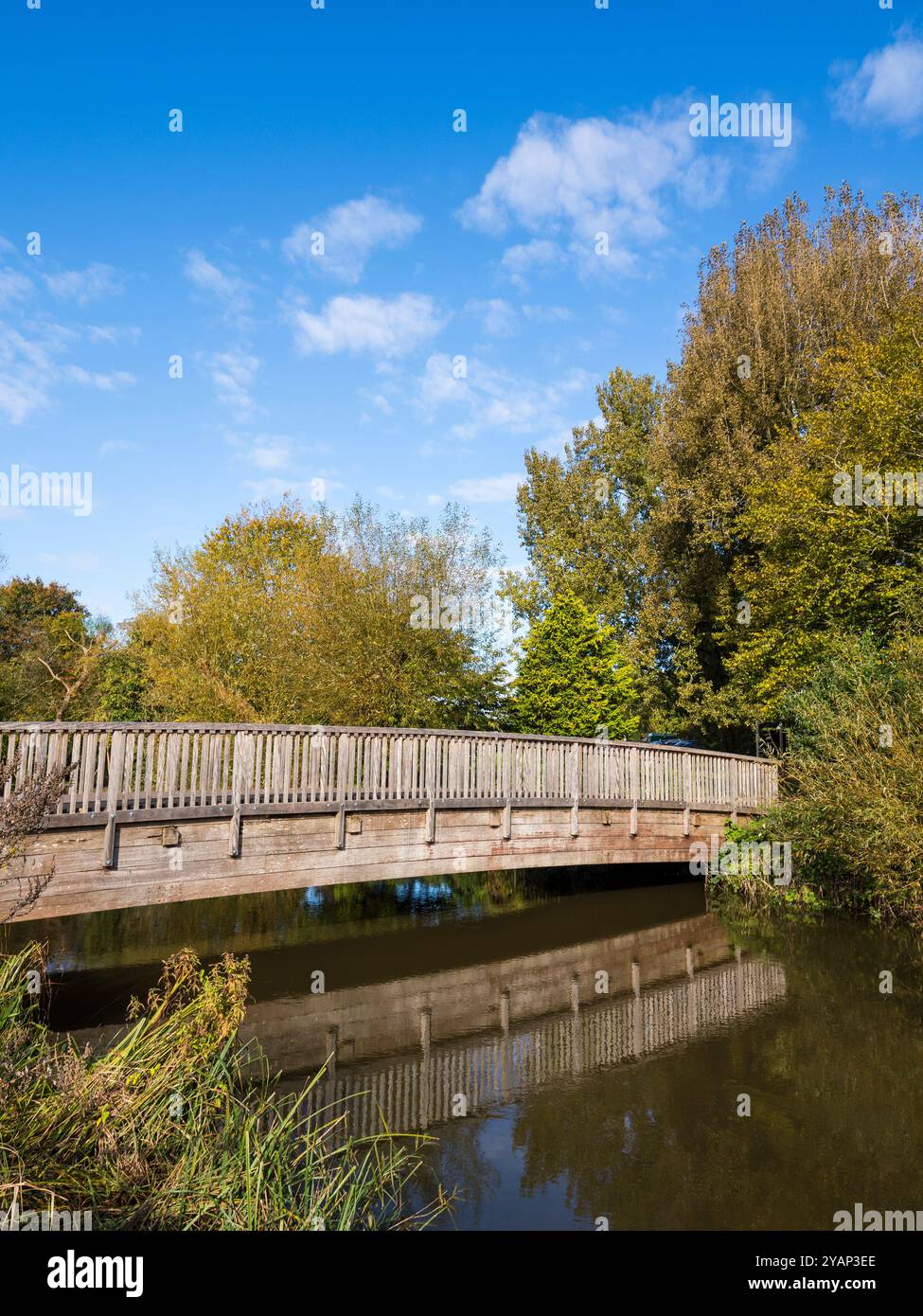 Salisbury wiltshire river avon hi-res stock photography and images - Alamy