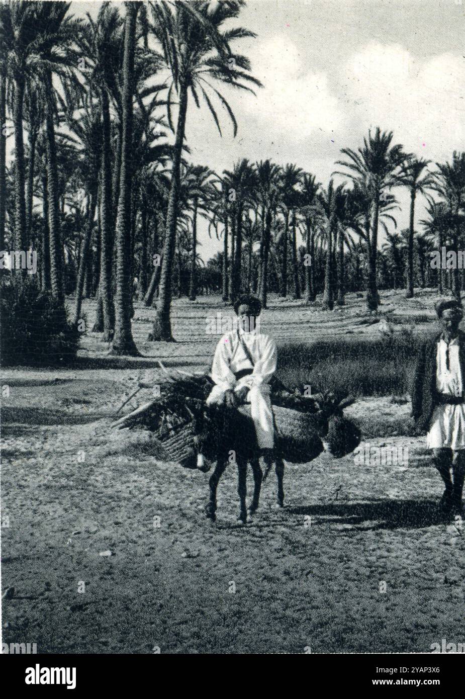 Libya people hi-res stock photography and images - Alamy