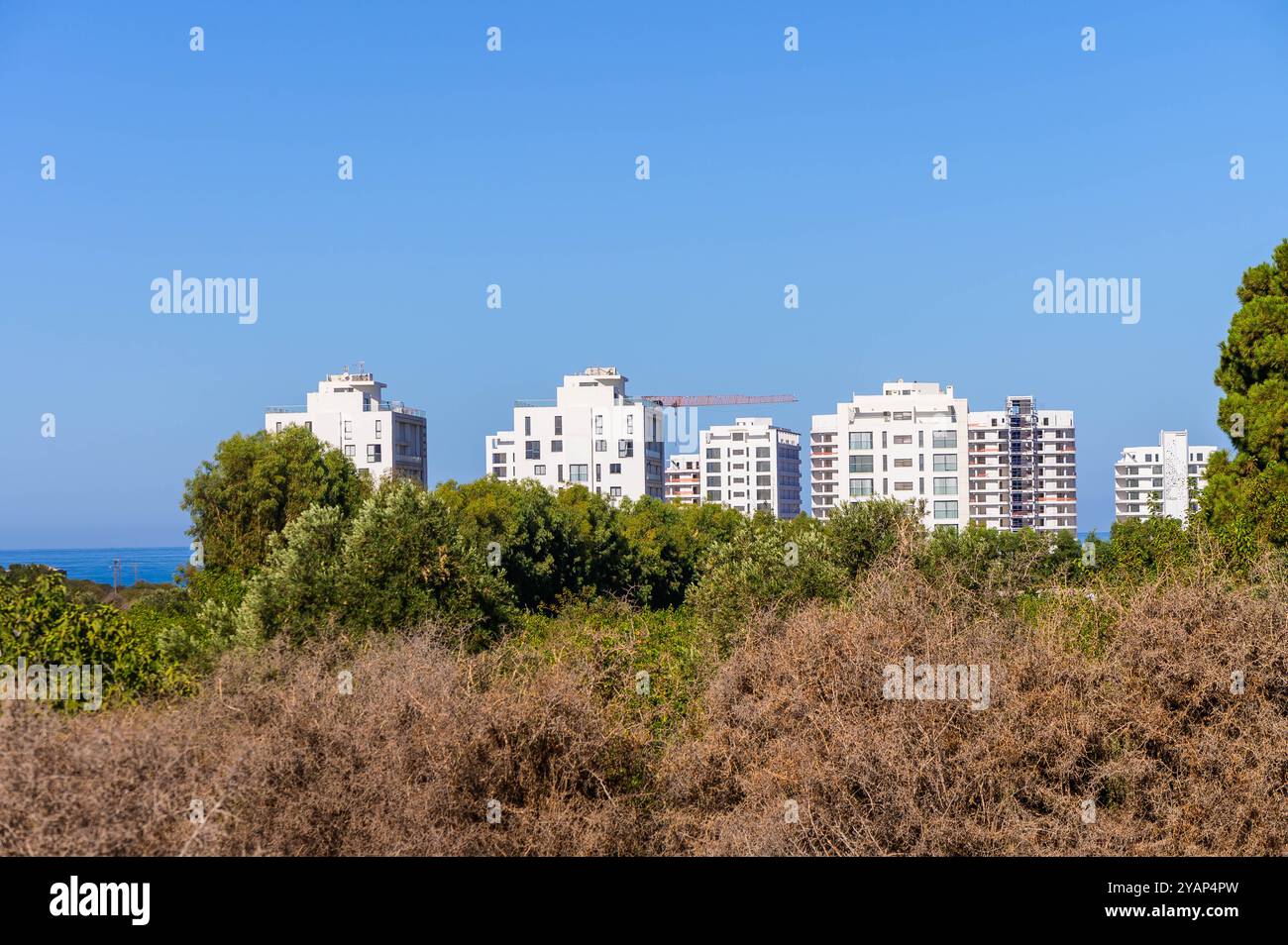 A vibrant coastal skyline reveals contemporary architecture rising ...