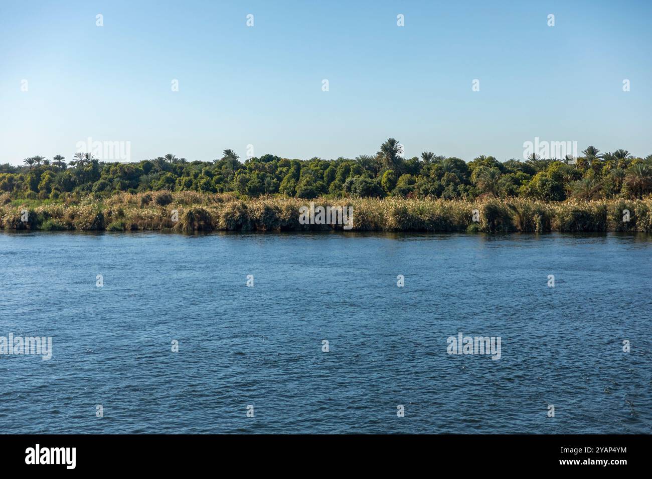 Discover the serene beauty of the Nile River oasis. Navigate the Nile ...