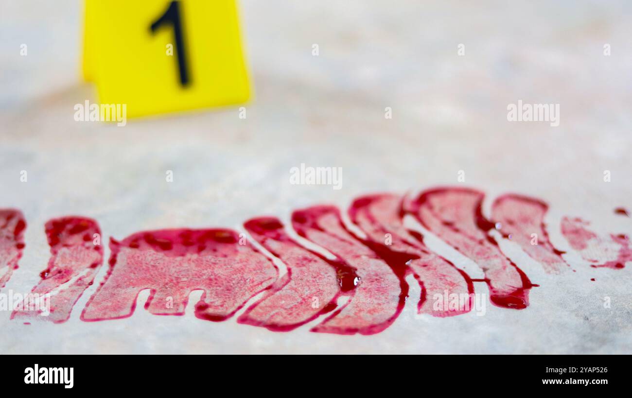 A bloody footprint from a murder suspect left on the concrete floor ...