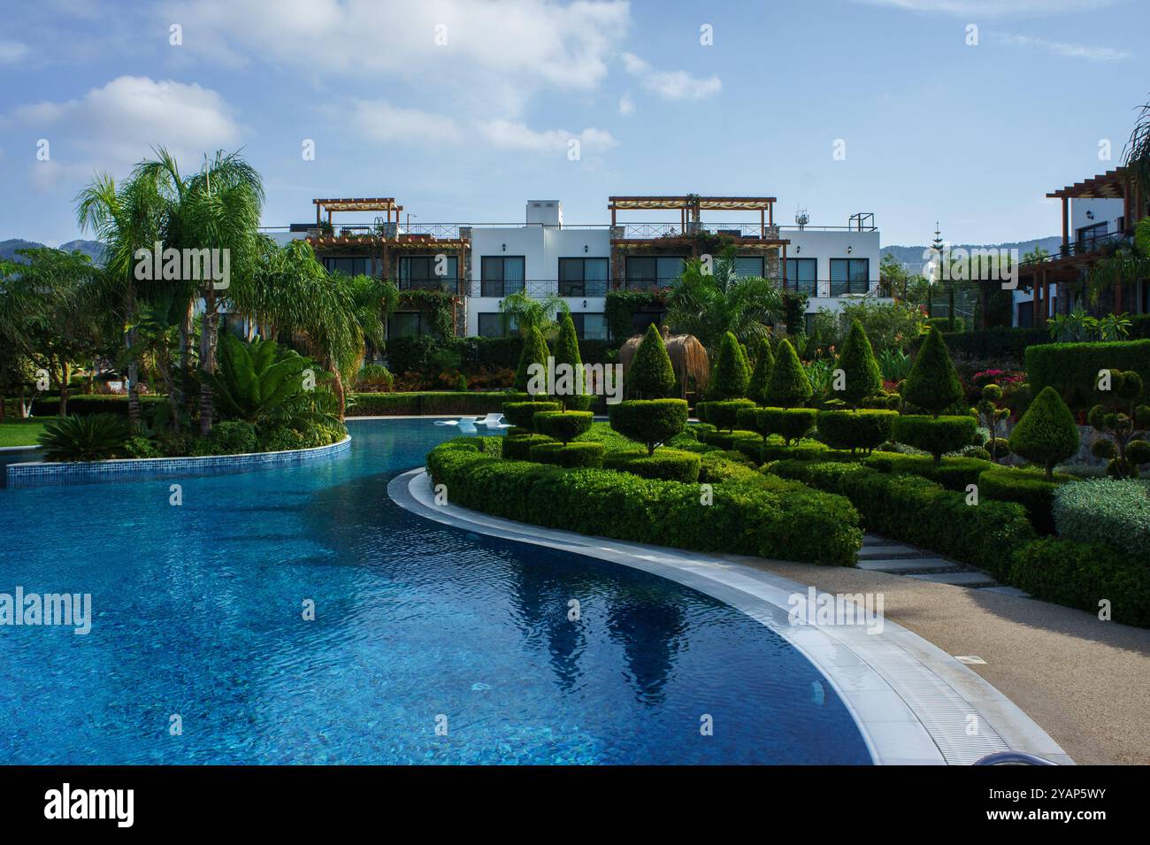 Lush greenery surrounds a curved swimming pool, reflecting the clear ...