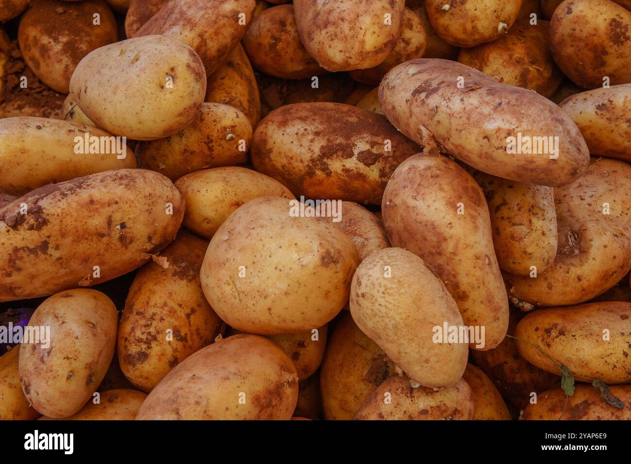 Slightly bumpy texture hi-res stock photography and images - Alamy