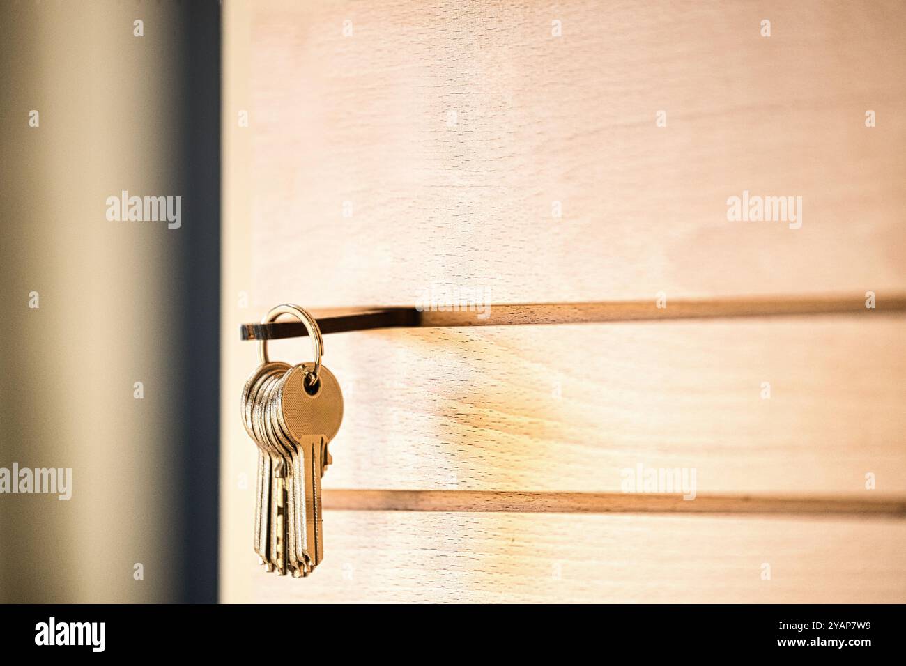 Keys that are Hanging on a Wooden Door A Significant Symbol of Access ...