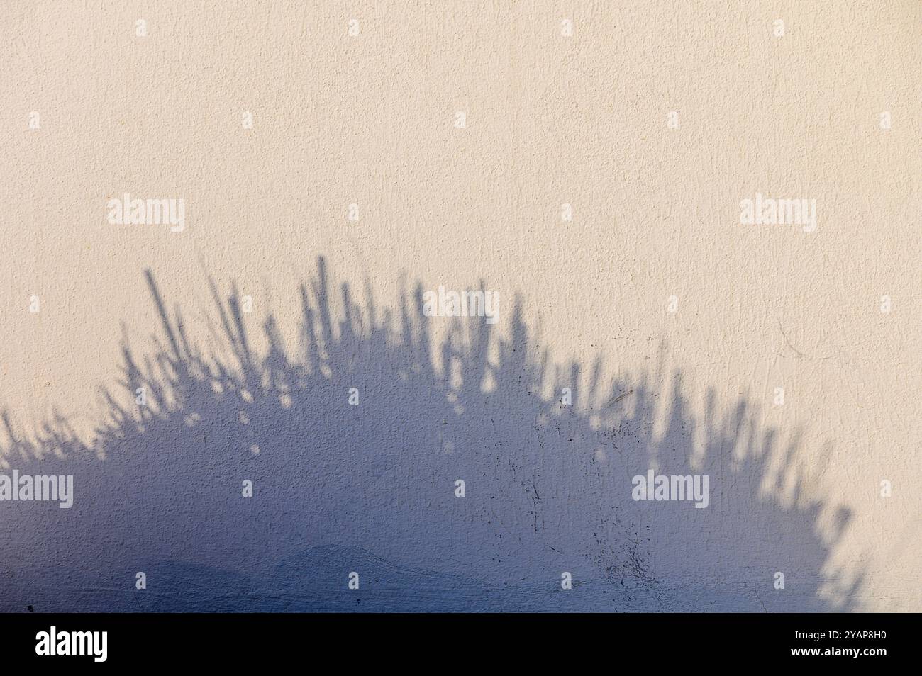 A captivating display of shadows emerges from spiky objects, creating ...