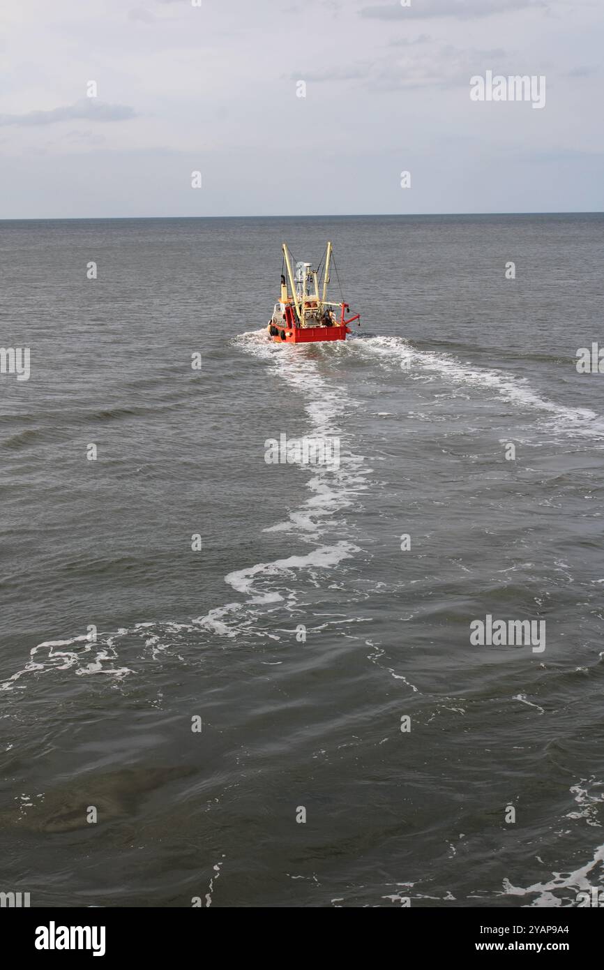 Leaving fossil hi-res stock photography and images - Alamy