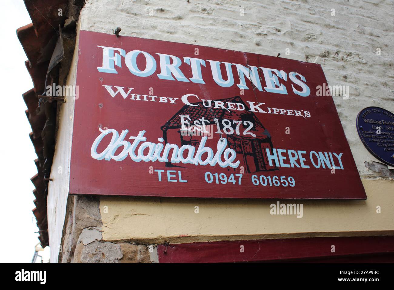 Whitby museum fossils hi-res stock photography and images - Alamy