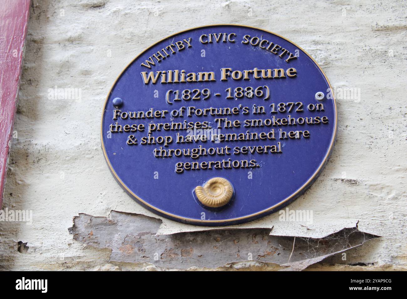 Whitby museum fossils hi-res stock photography and images - Alamy