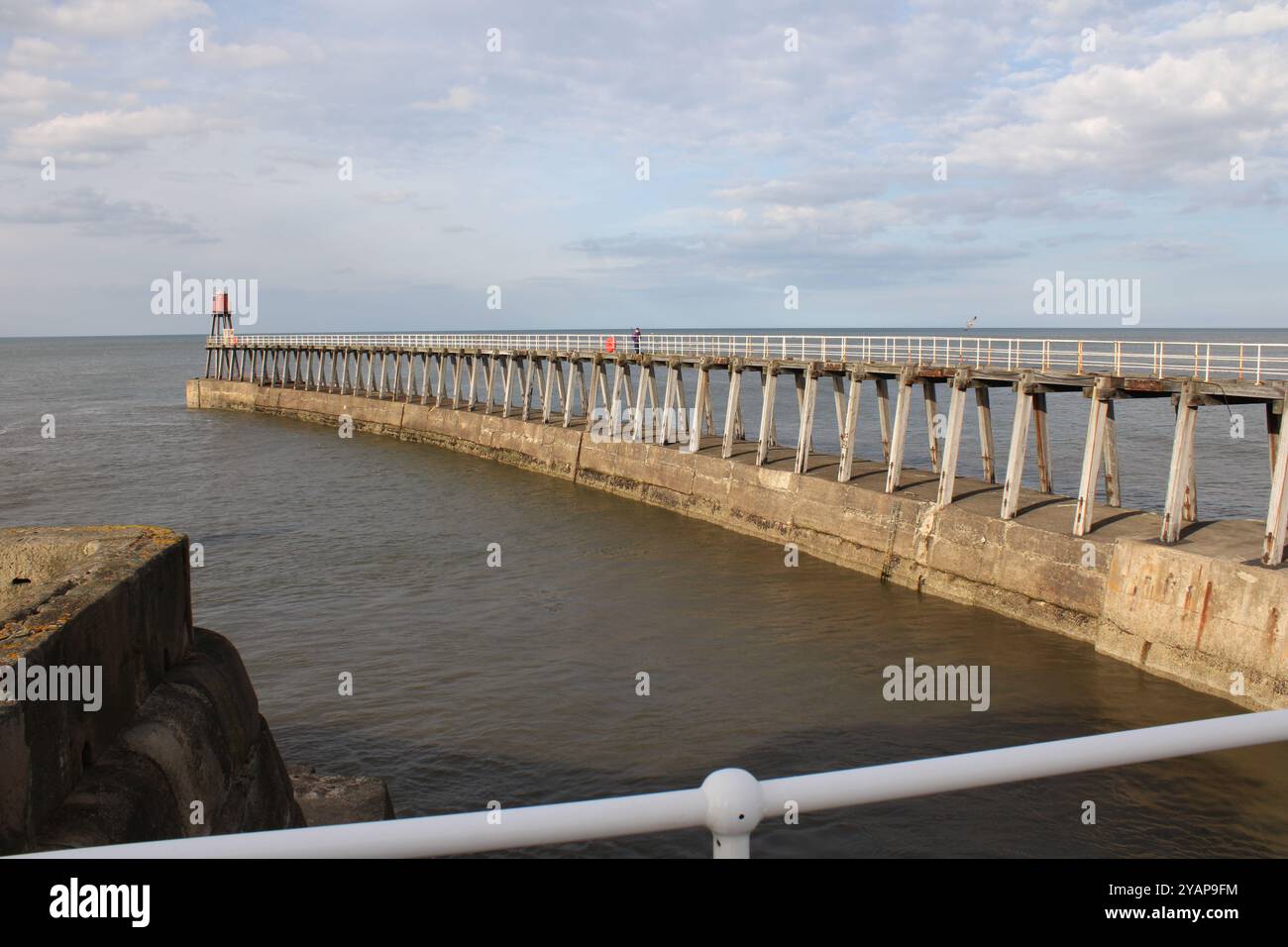 Whitby museum fossils hi-res stock photography and images - Alamy