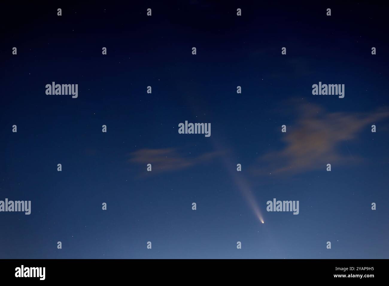 Comet C/2023 A3 (Tsuchinshan-ATLAS) soars across the evening sky over ...