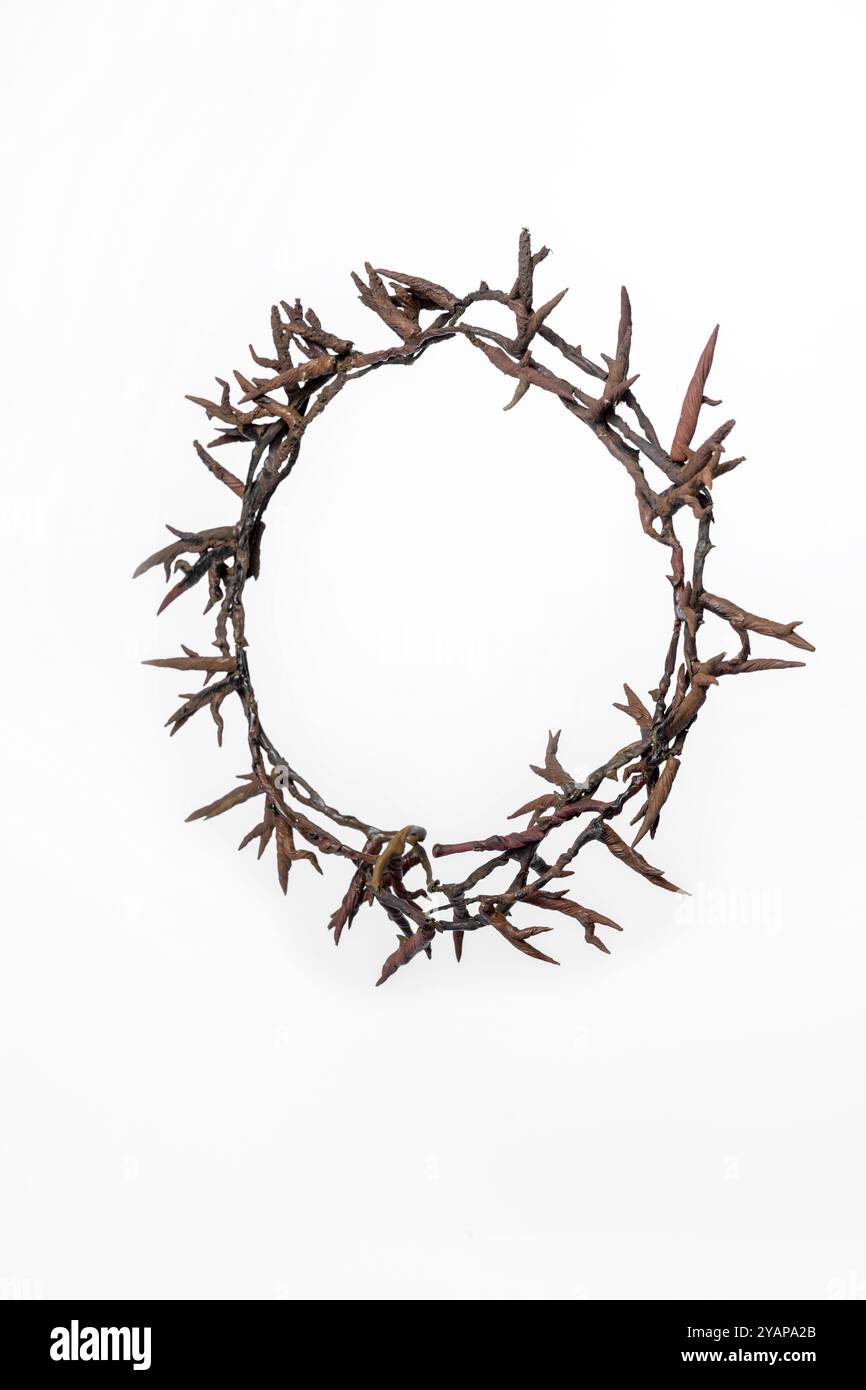 Twigs and branches of crown thorns of jesus christ isolated over white ...