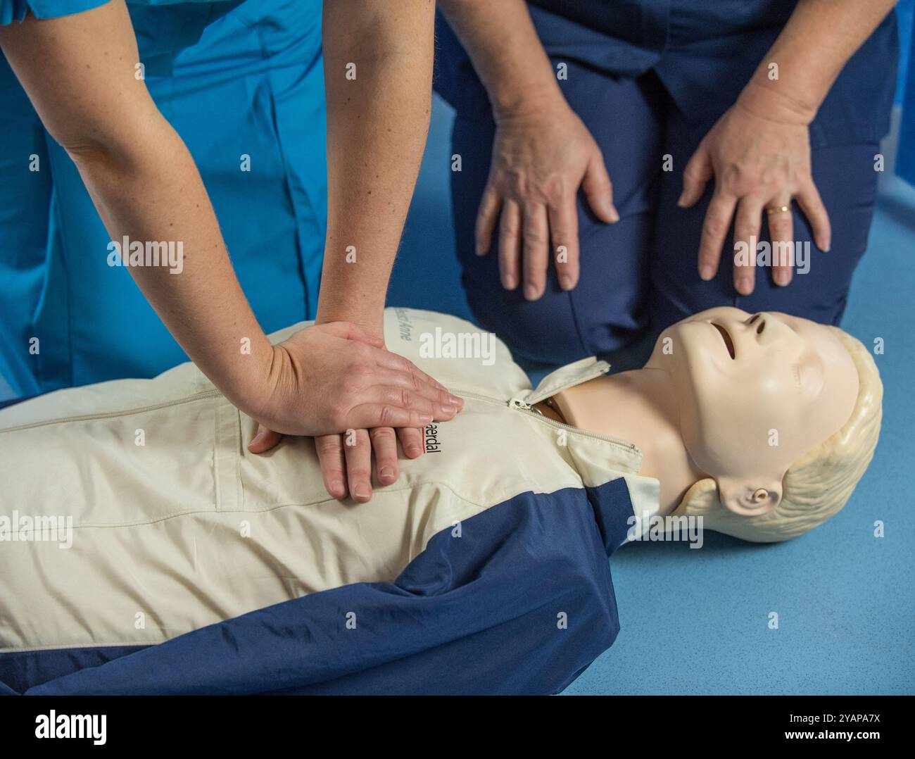 Adult resuscitation dummy being used for training medical staff ...