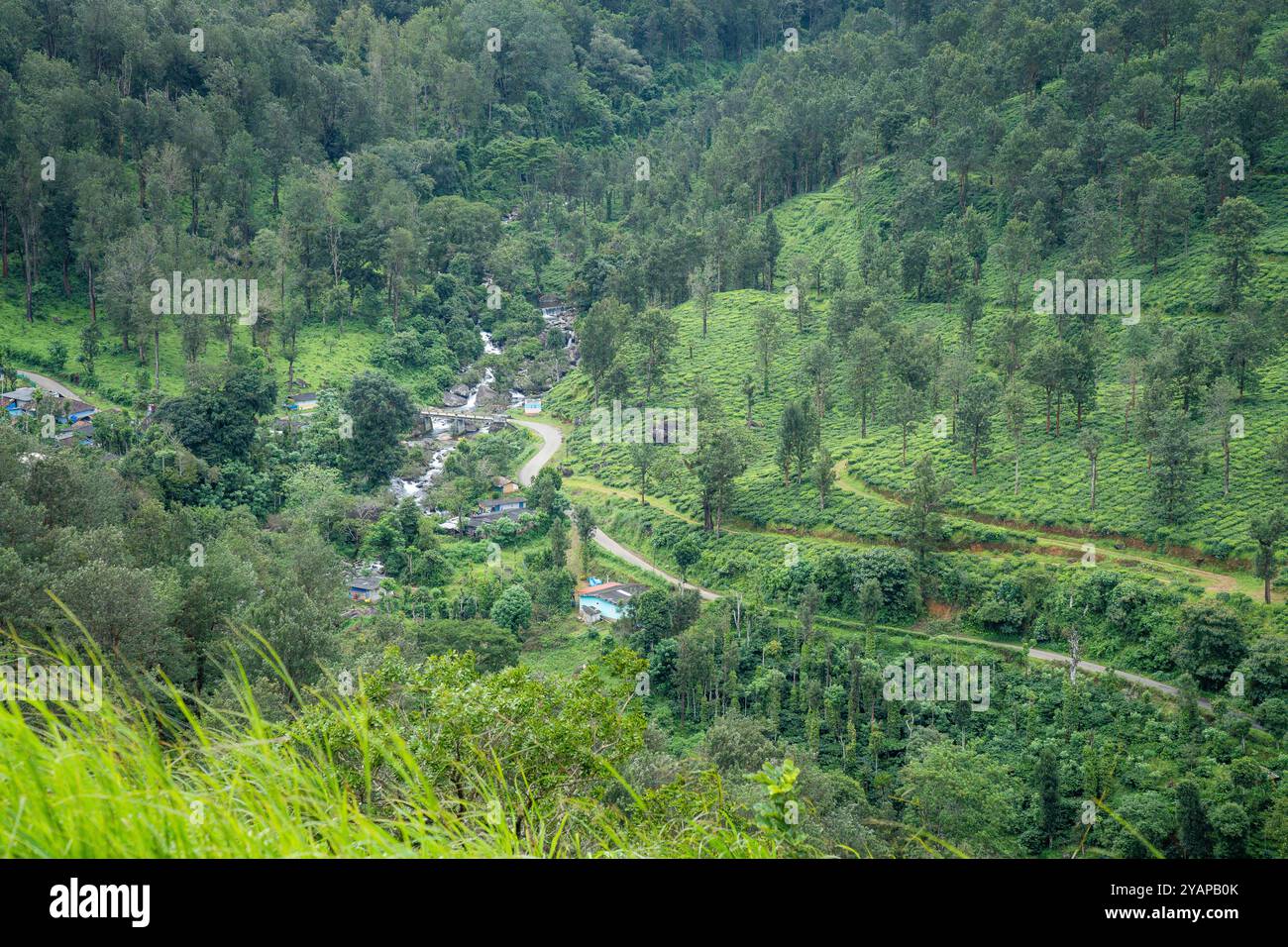 Yellamalai from Gudalur, Tamil Nadu - A Plantation Village in Tamil ...