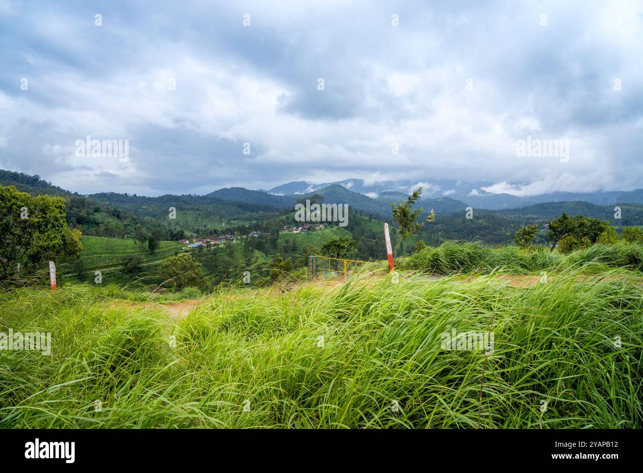 Yellamalai from Gudalur, Tamil Nadu - A Plantation Village in Tamil ...