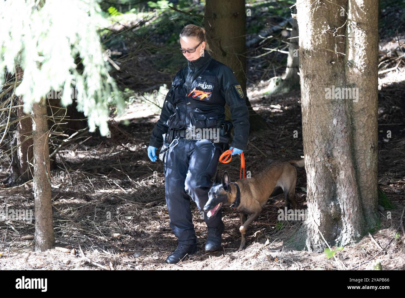 15 October 2024, Saxony, Annaberg-Buchholz: A policewoman walks through ...
