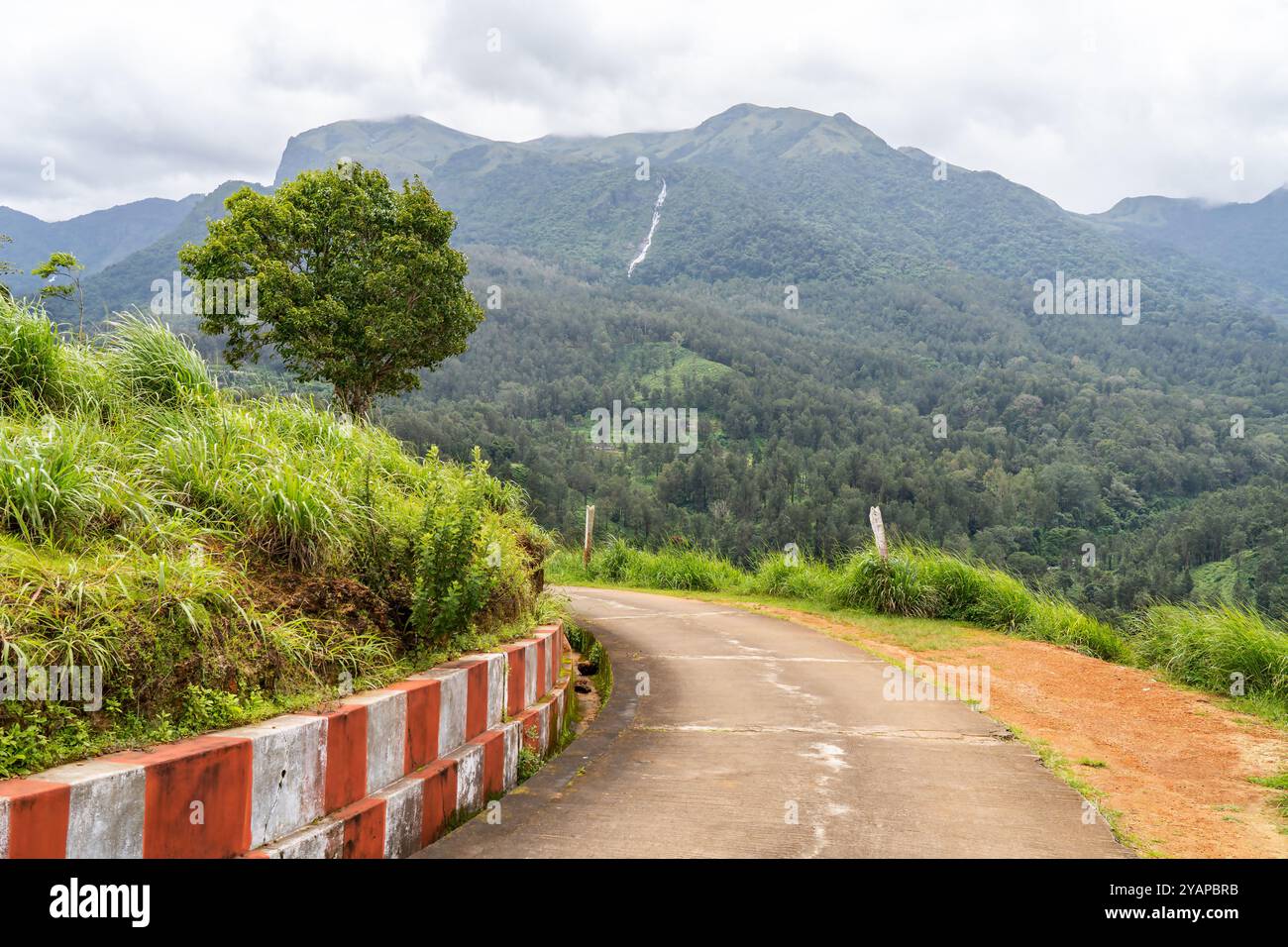 Neelagiri hi-res stock photography and images - Alamy