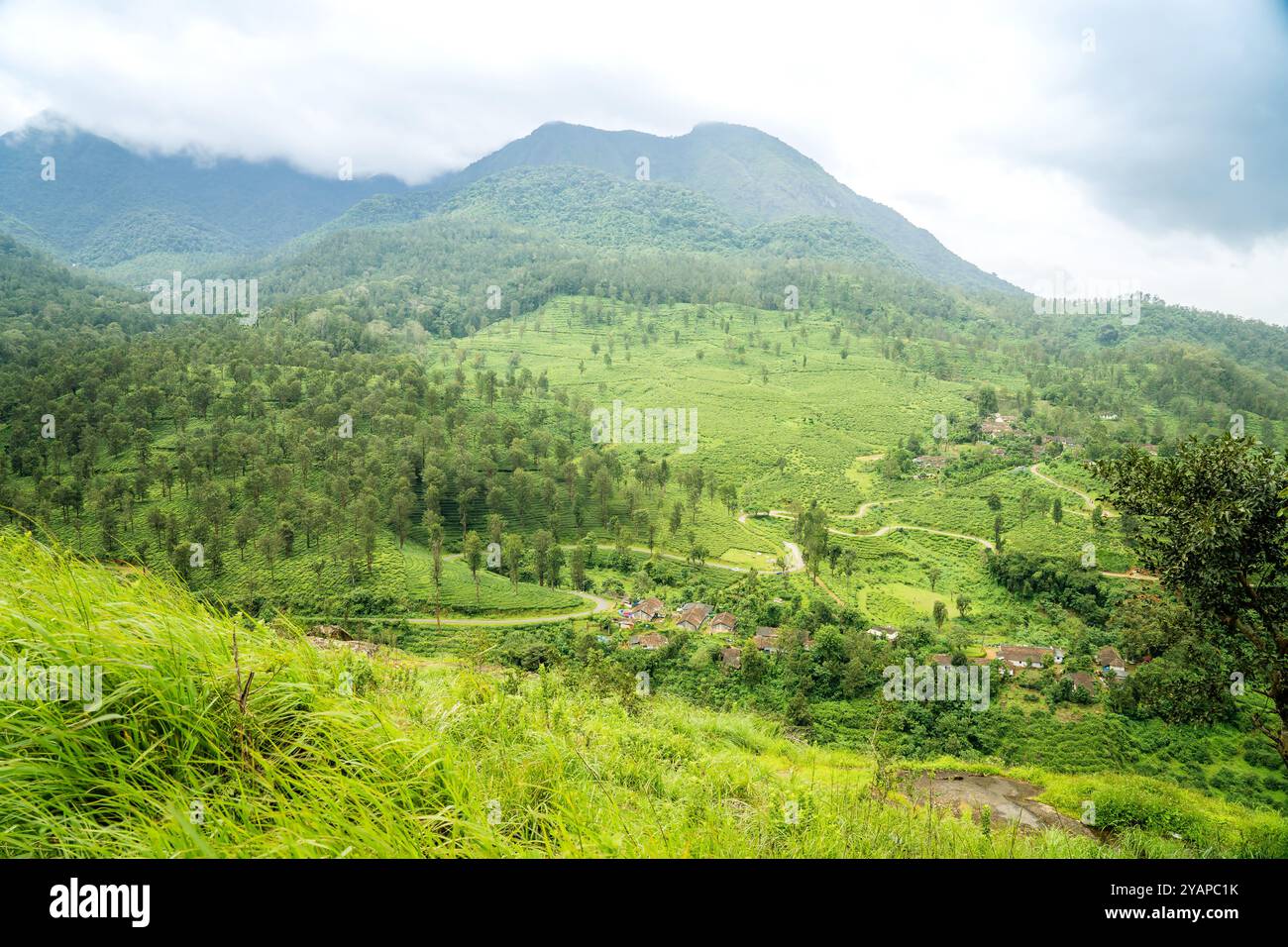 Yellamalai from Gudalur, Tamil Nadu - A Plantation Village in Tamil ...