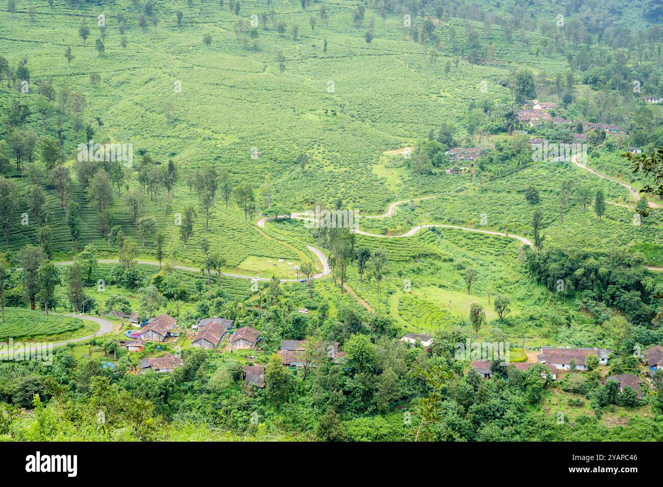 Yellamalai from Gudalur, Tamil Nadu - A Plantation Village in Tamil ...
