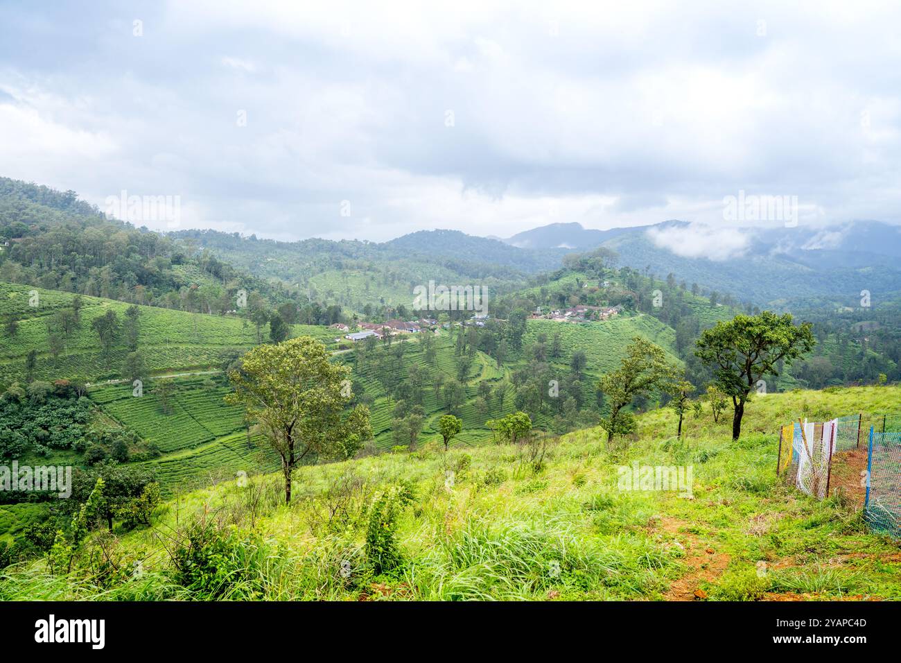 Yellamalai from Gudalur, Tamil Nadu - A Plantation Village in Tamil ...