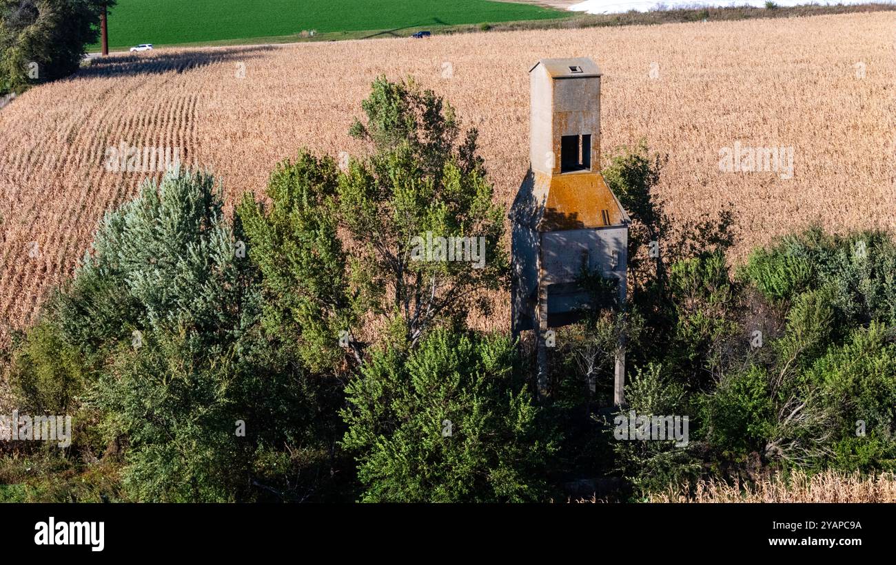 Aerial photograph of an abandoned grain elevator standing in a corn ...