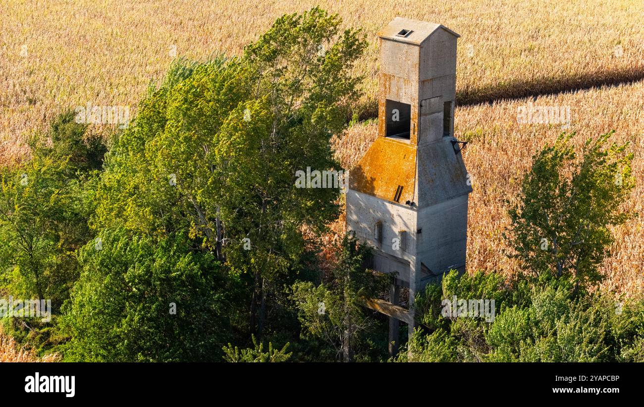 Aerial photograph of an abandoned grain elevator standing in a corn ...