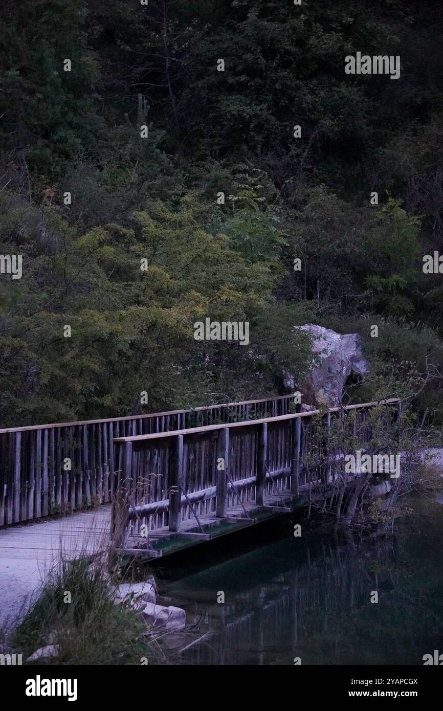 Peaceful place lake forest hi-res stock photography and images - Alamy