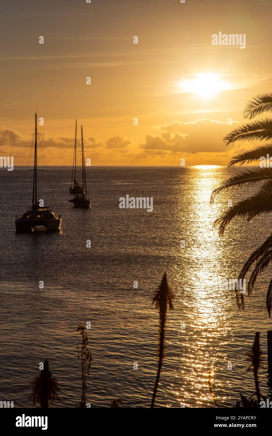 Beautiful golden sunrise over yachts in the harbour at Machico , the ...