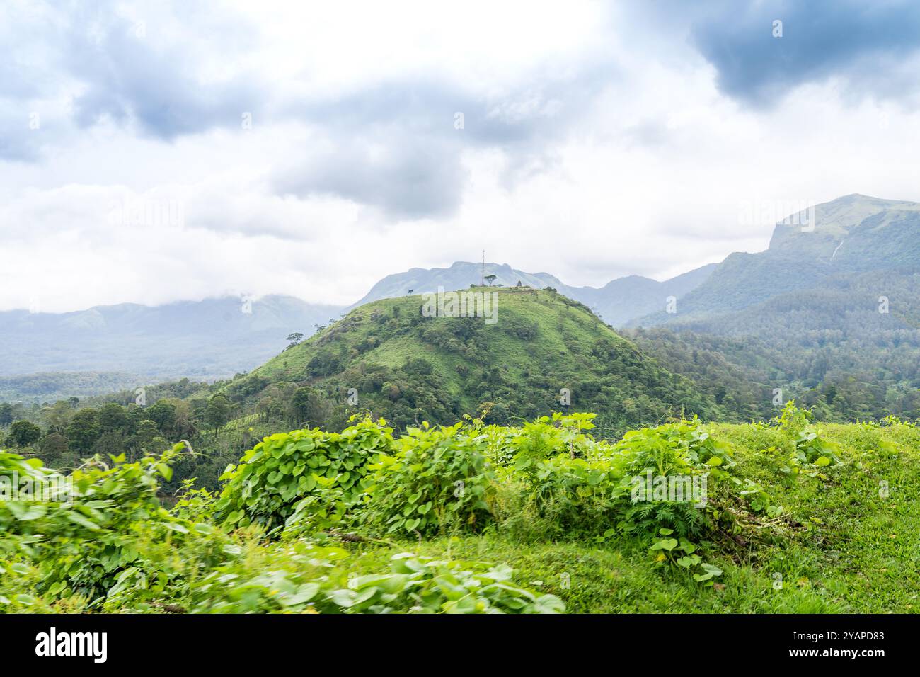 Yellamalai from Gudalur, Tamil Nadu - A Plantation Village in Tamil ...