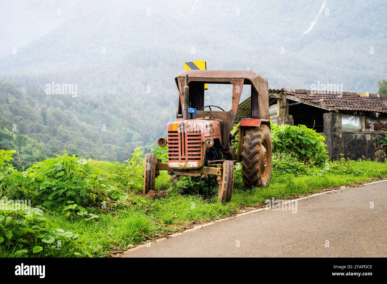 Yellamalai from Gudalur, Tamil Nadu - A Plantation Village in Tamil ...