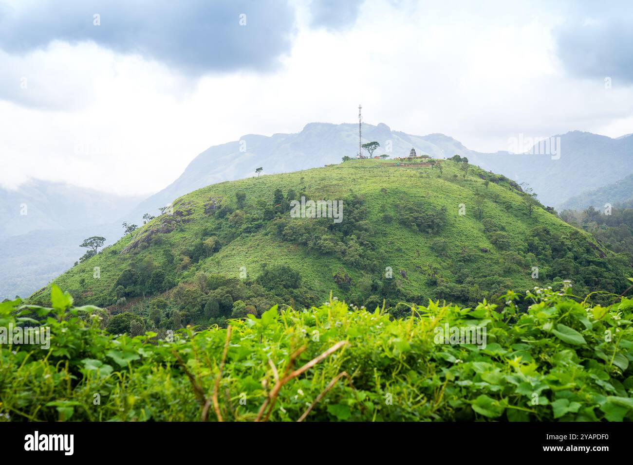 Yellamalai from Gudalur, Tamil Nadu - A Plantation Village in Tamil ...