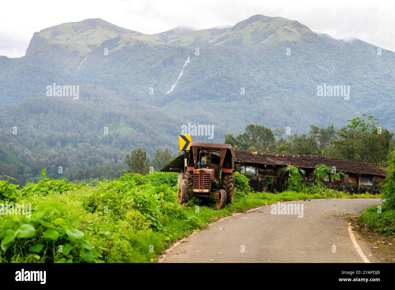 Yellamalai from Gudalur, Tamil Nadu - A Plantation Village in Tamil ...