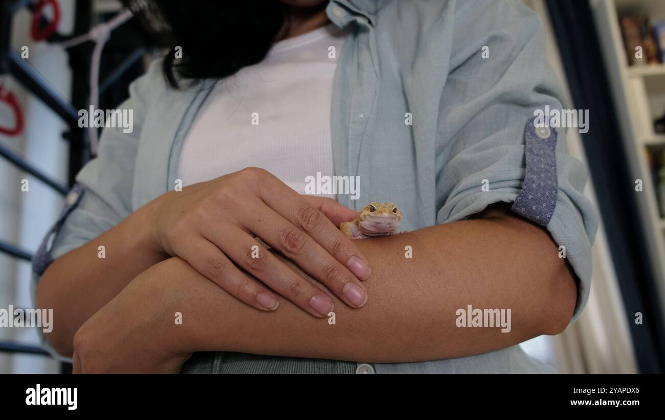A gecko sits comfortably on a human arm, symbolizing the fragile yet ...