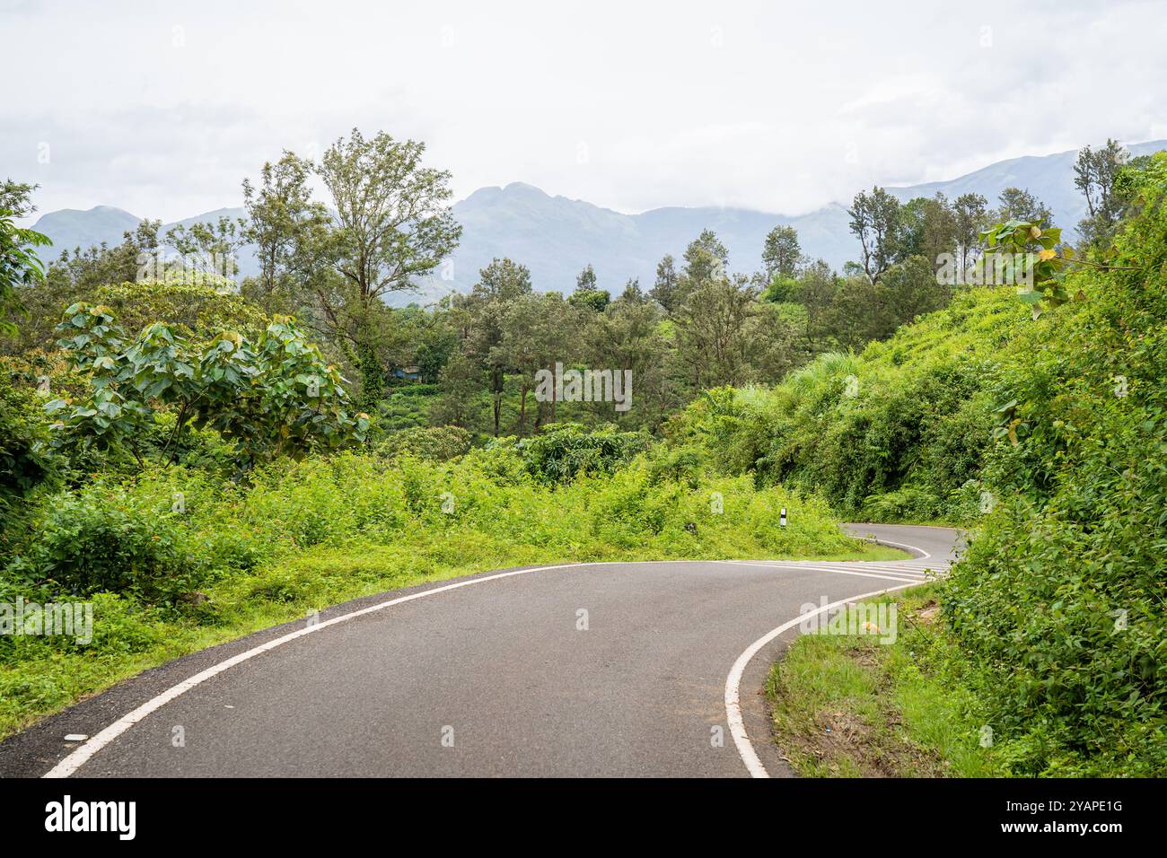 Yellamalai from Gudalur, Tamil Nadu - A Plantation Village in Tamil ...